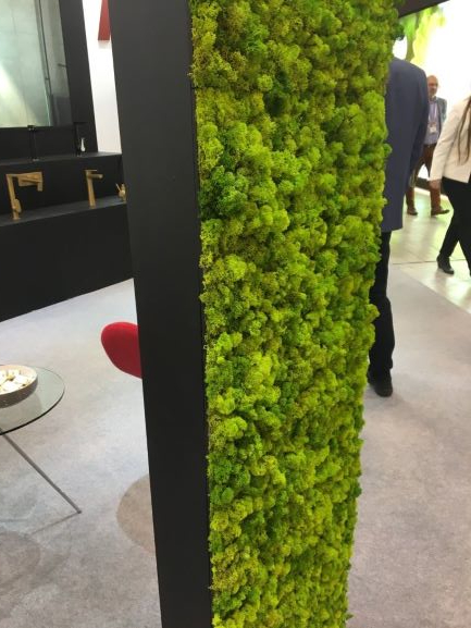 Realisations preservedmoss.co.uk