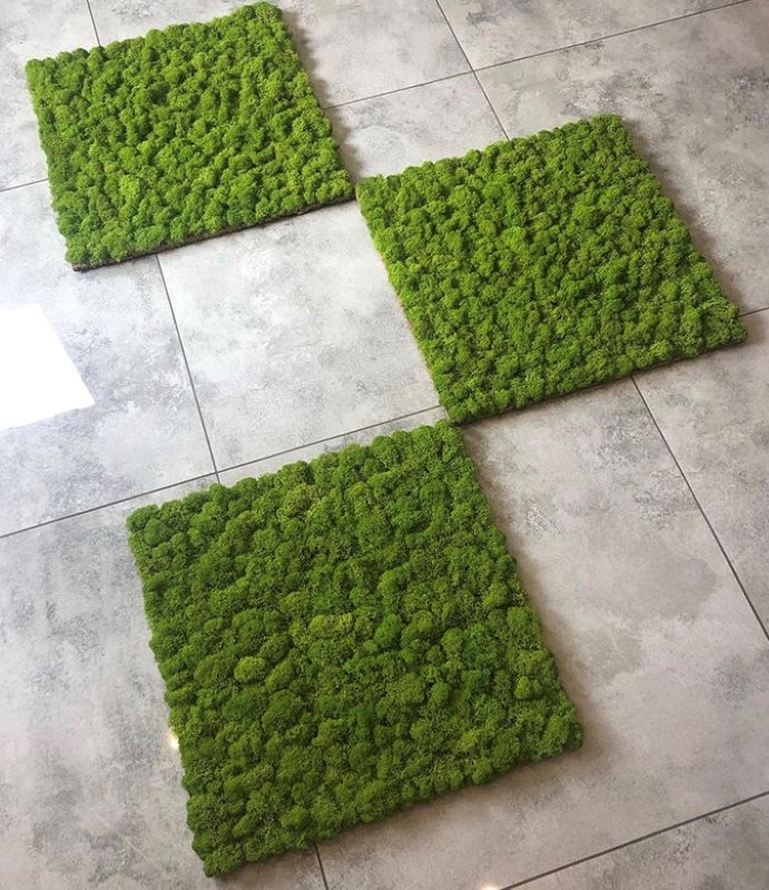 Preserved Moss Wall Gallery | UK Moss Design Ideas preservedmoss.co.uk