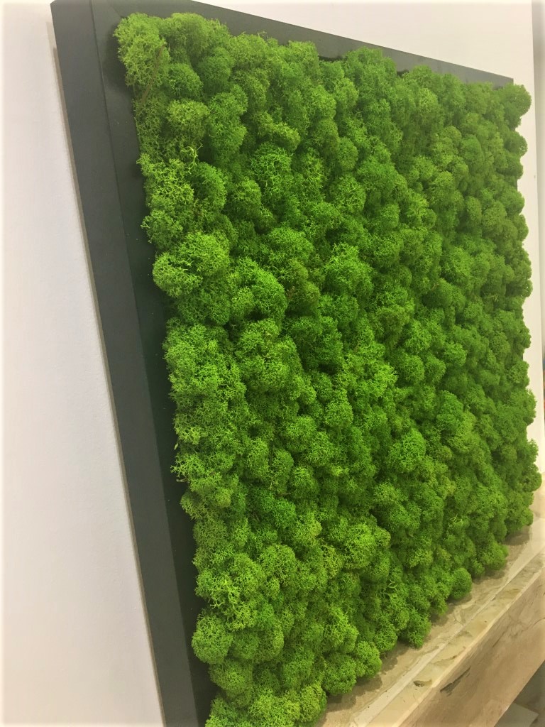 Realisations preservedmoss.co.uk