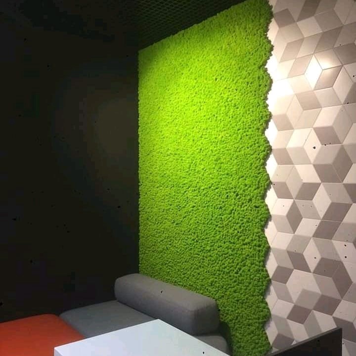Preserved Moss Wall Gallery | UK Moss Design Ideas preservedmoss.co.uk