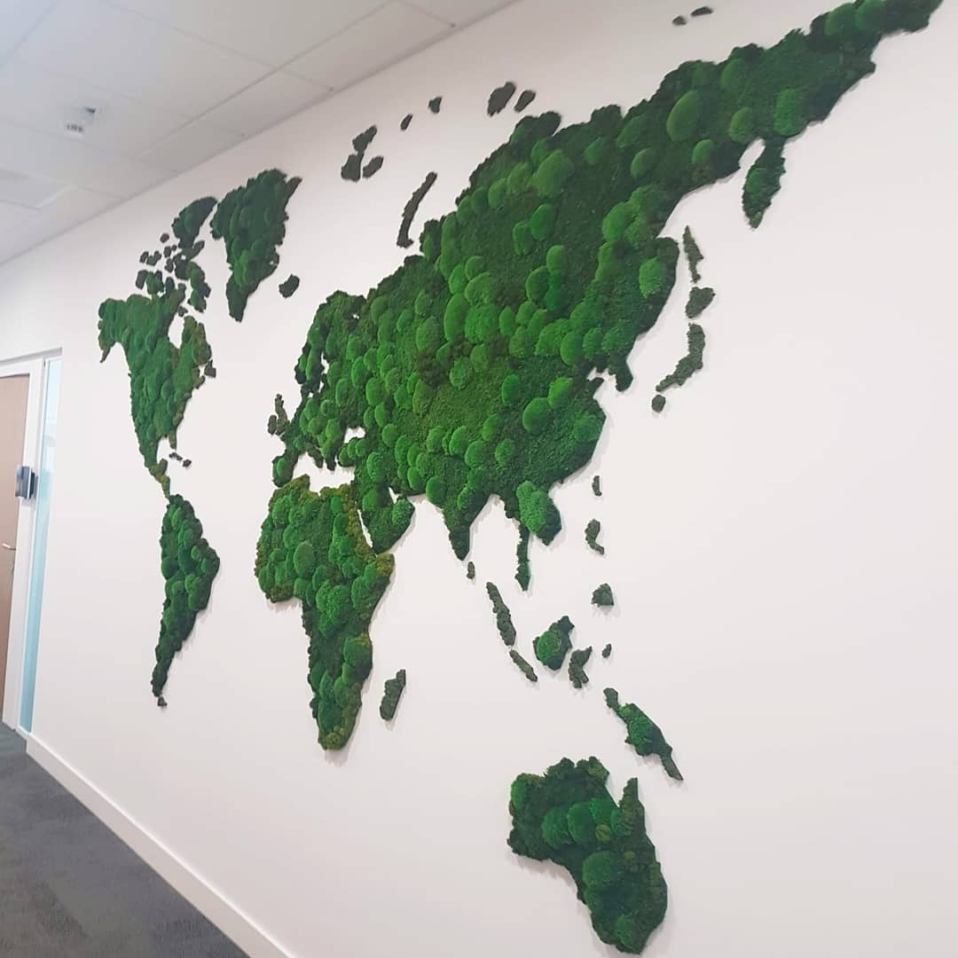 Preserved Moss UK - Top Quality Moss Wholesale & Moss Walls ...