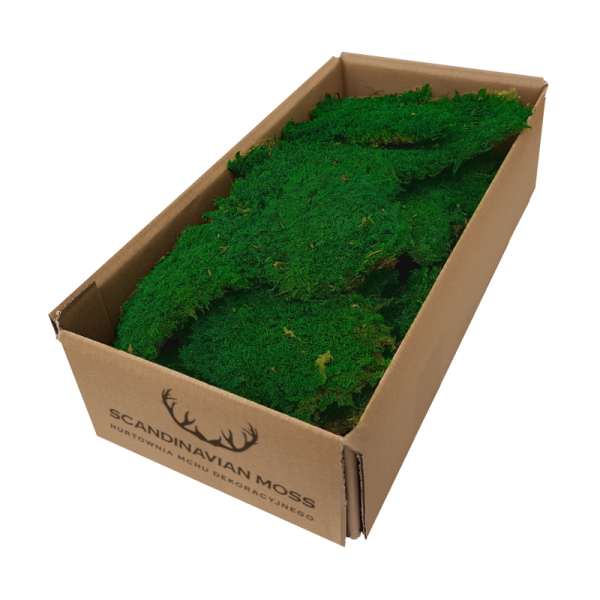 Decorative Scandinavian Flat Moss preservedmoss.co.uk
