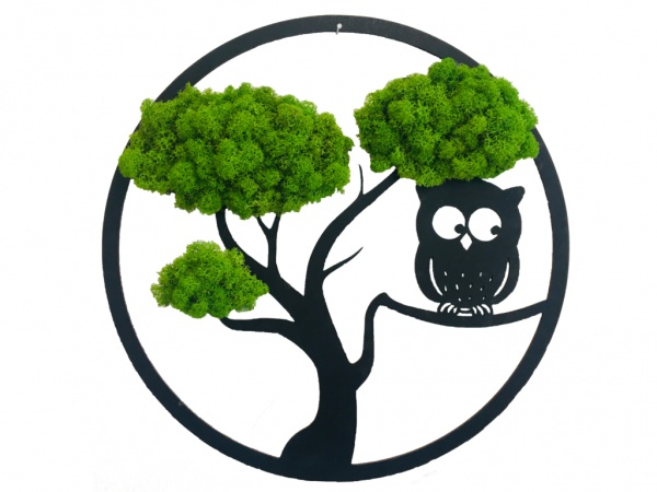 Preserved Moss For Decorations & Green Walls. Moss Wholesaler - Shop UK ...