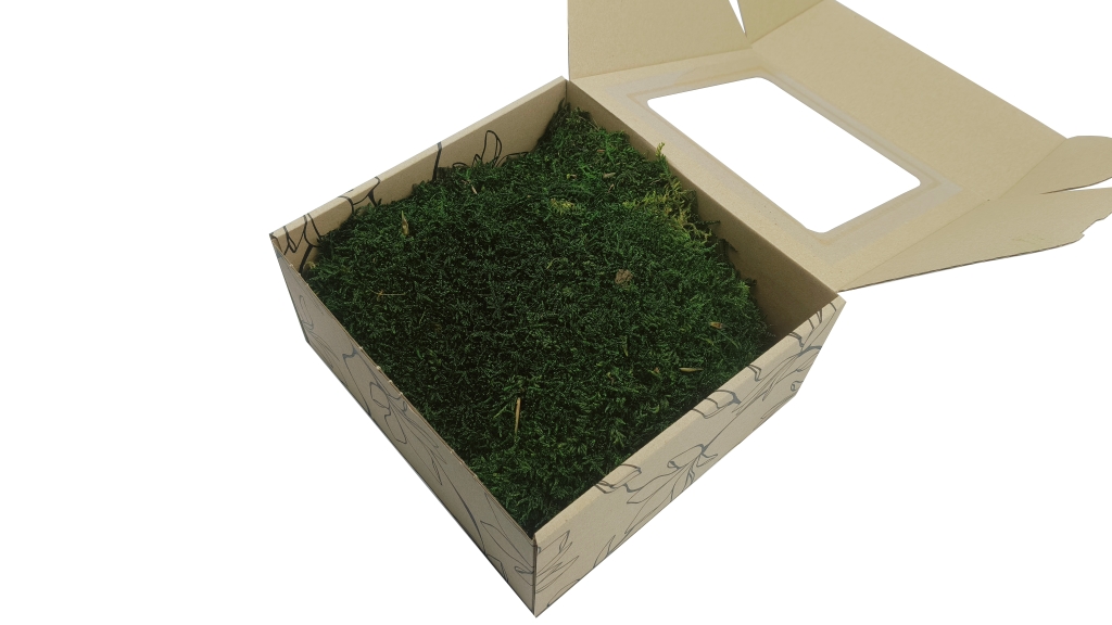 PREMIUM Flat Forest Moss – Dark Green | Sheet Moss in Window Box ...