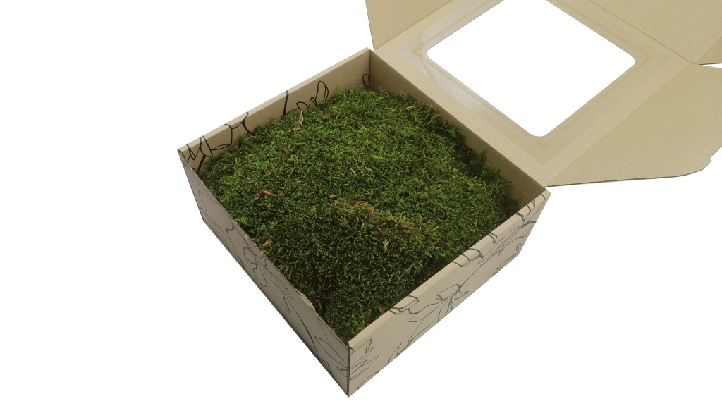 PREMIUM Flat Forest Moss – Light Green | Sheet Moss in Window Box ...