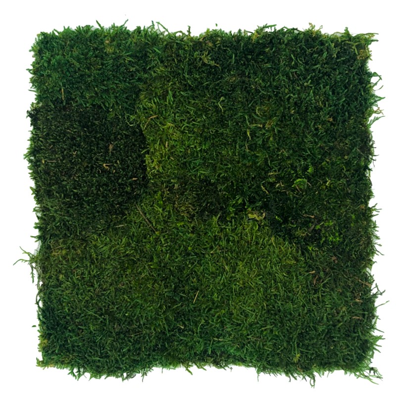 Frameless " Tyrolean" Flat moss wall panel 50 x 50cm | color - dark ...