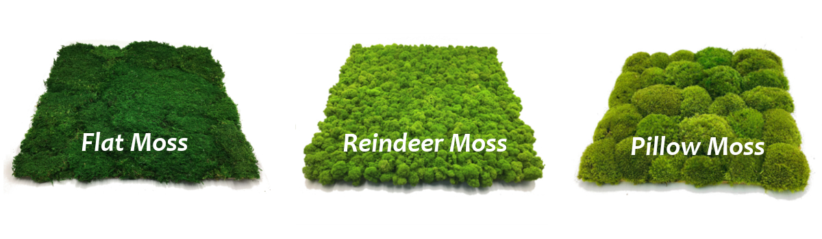 Moss Walls & Moss Wall Panels UK - Bespoke Top Quality Moss Walls ...