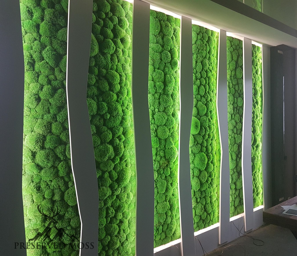 Preserved Moss Wall Gallery | UK Moss Design Ideas preservedmoss.co.uk