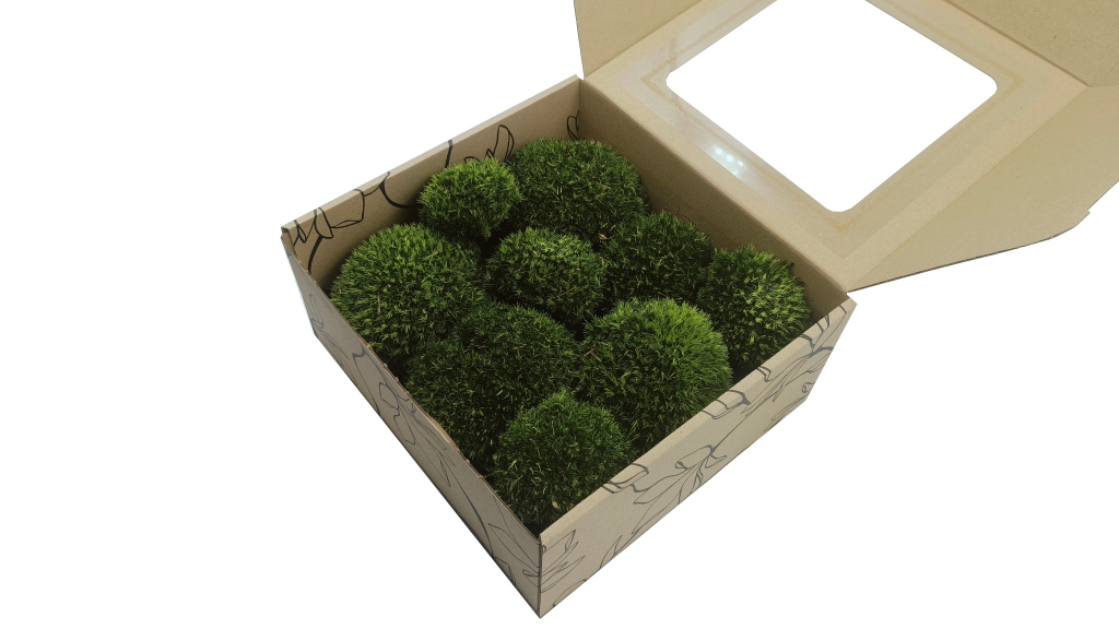 Premium Pillow Moss / Ball Moss – Dark Green | Premium Quality ...