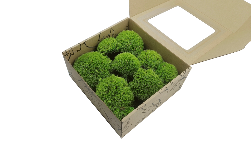 Premium Pillow Moss / Ball Moss – Medium Green | Premium Quality ...