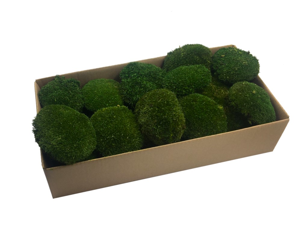 Premium Preserved Alpine ( Tyrolean ) Pillow Moss Forest Green 150 g ...