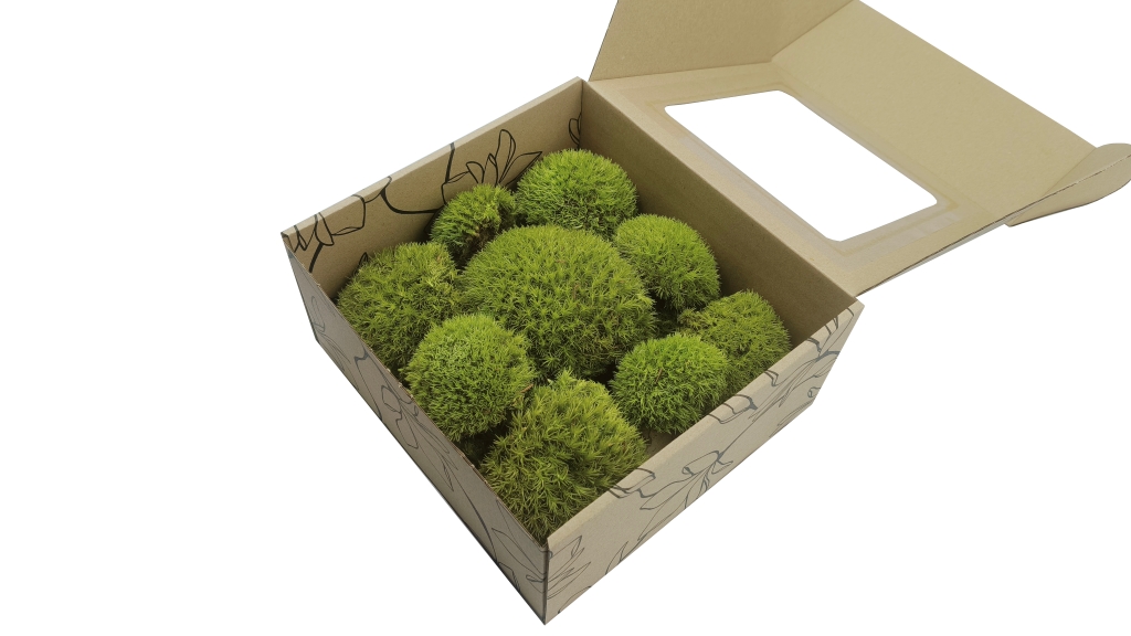 Premium Pillow Moss / Ball Moss – Light Green | Premium Quality ...
