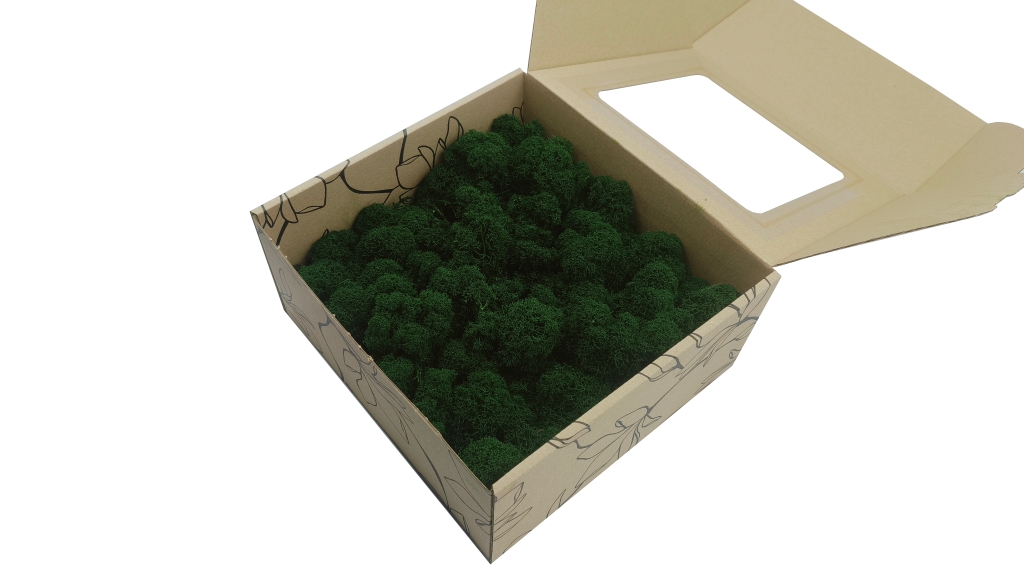 Reindeer Moss Dark Green Color - Display Window Box, Purified ...