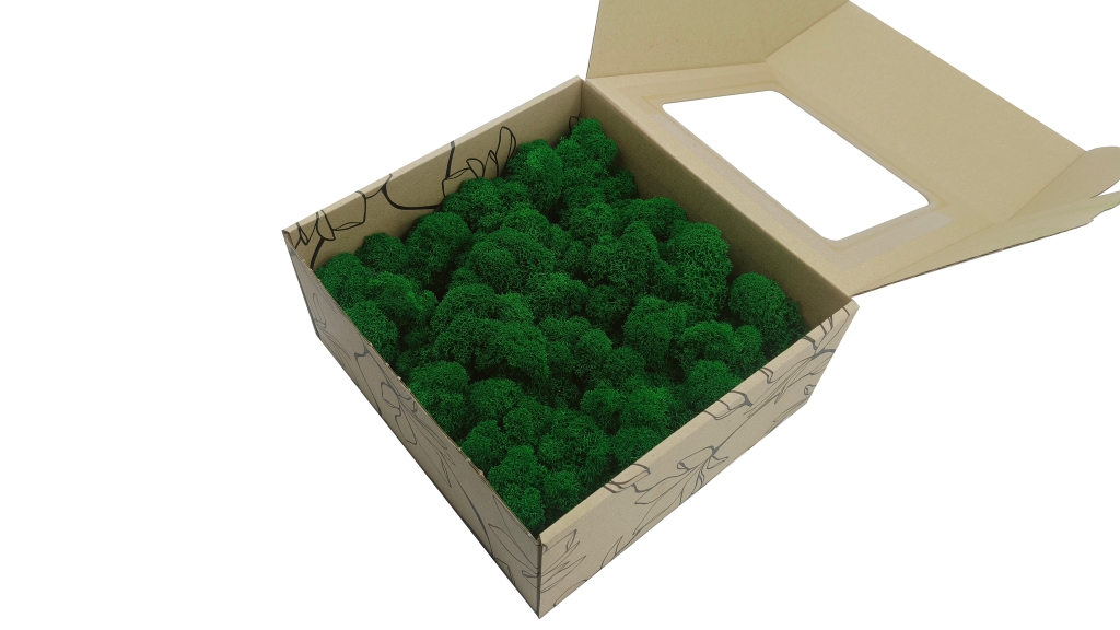 Reindeer Moss Medium Green Color - Display Window Box, Purified ...